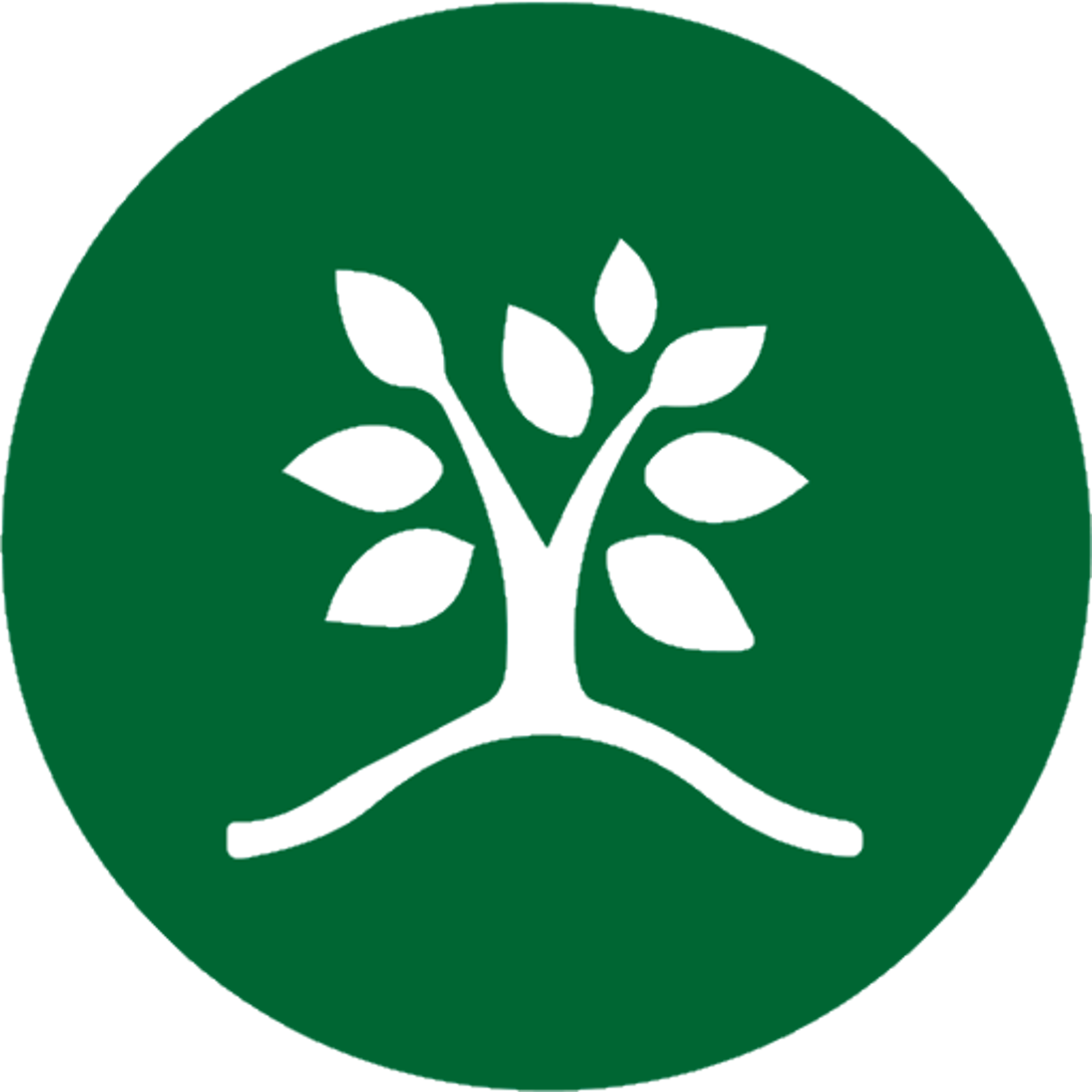 Holiday Light Recycling | City of Meridian